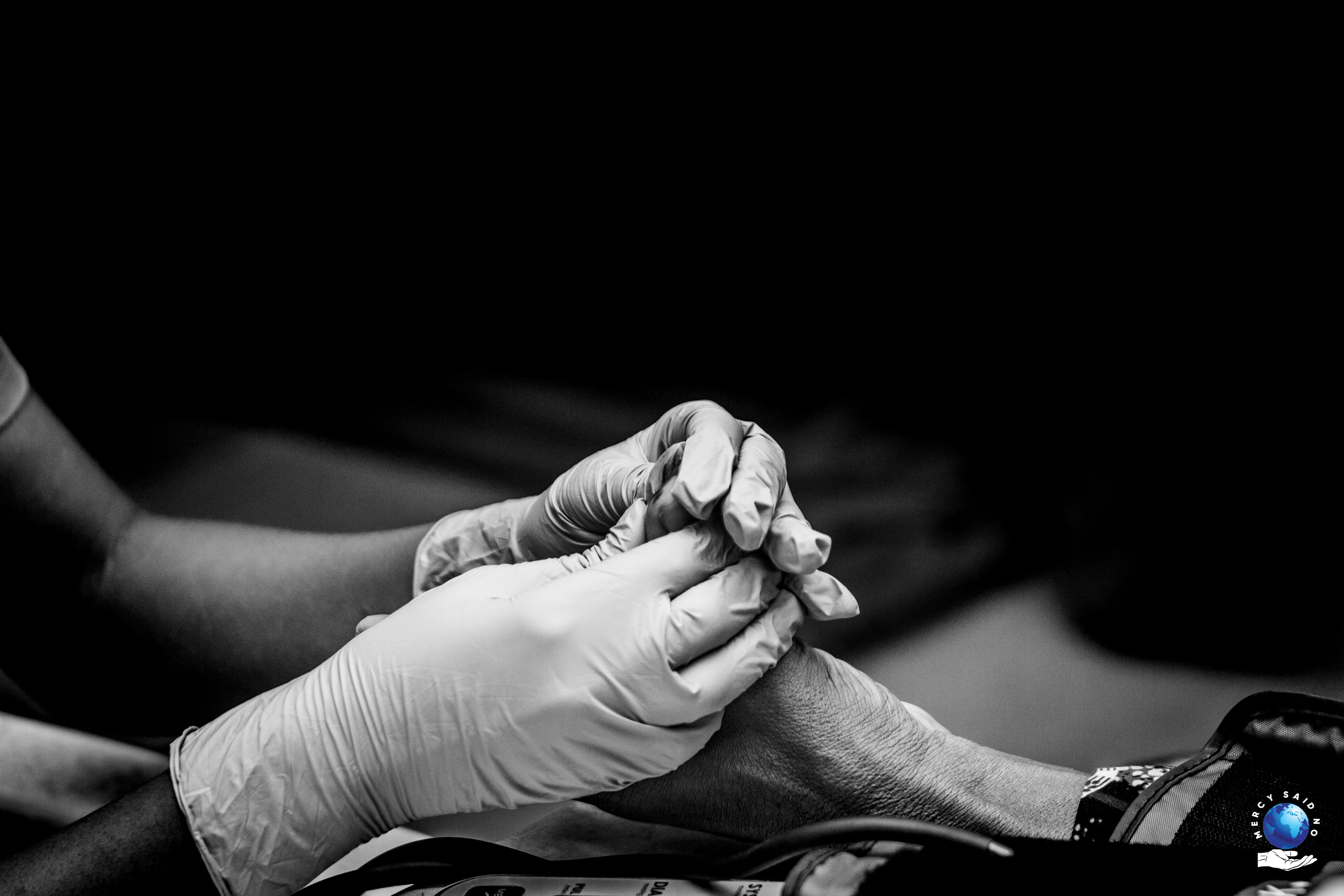 Gallery – MSN Website